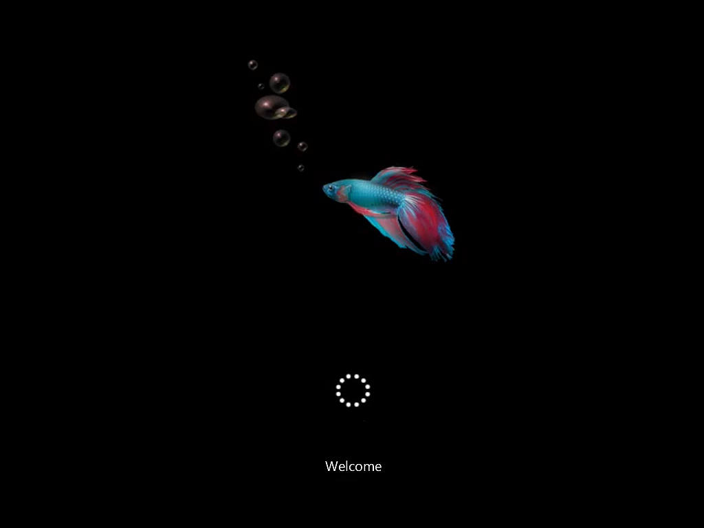 Download del nuovo Wallpaper e della Boot Screen di Windows 8 Build ...