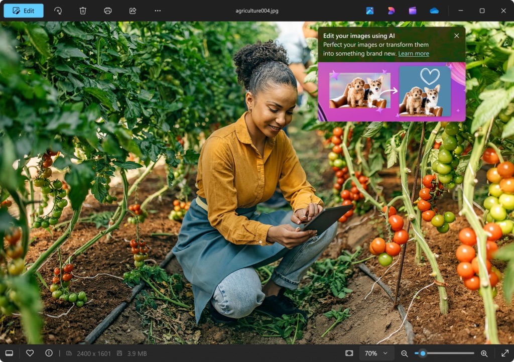 Microsoft Foto per Windows 11 introduce l'integrazione completa di Designer